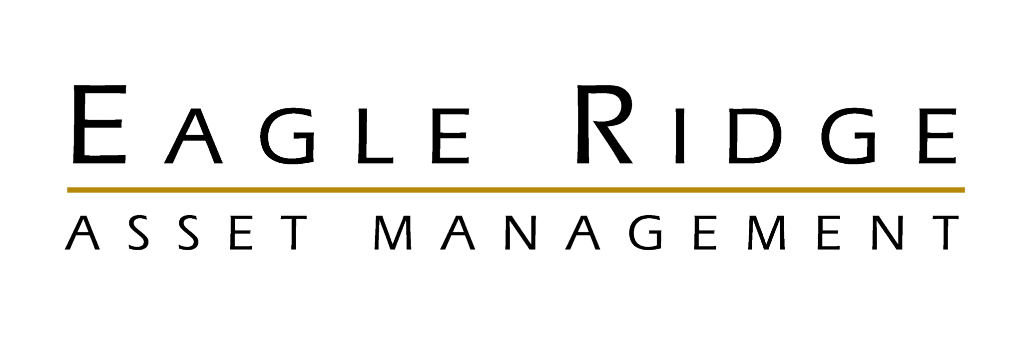 Home - Eagle Ridge Asset Management